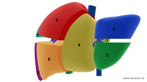 Utskriftsvennlig versjon for artikkel